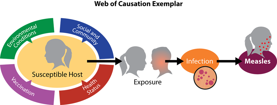 Epidemiologic Measurement in Population Health Outcomes - Get Homework Done